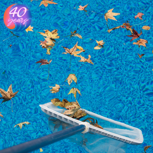 How to Keep Your Plunge Pool Open in the Fall | Seaway Pools